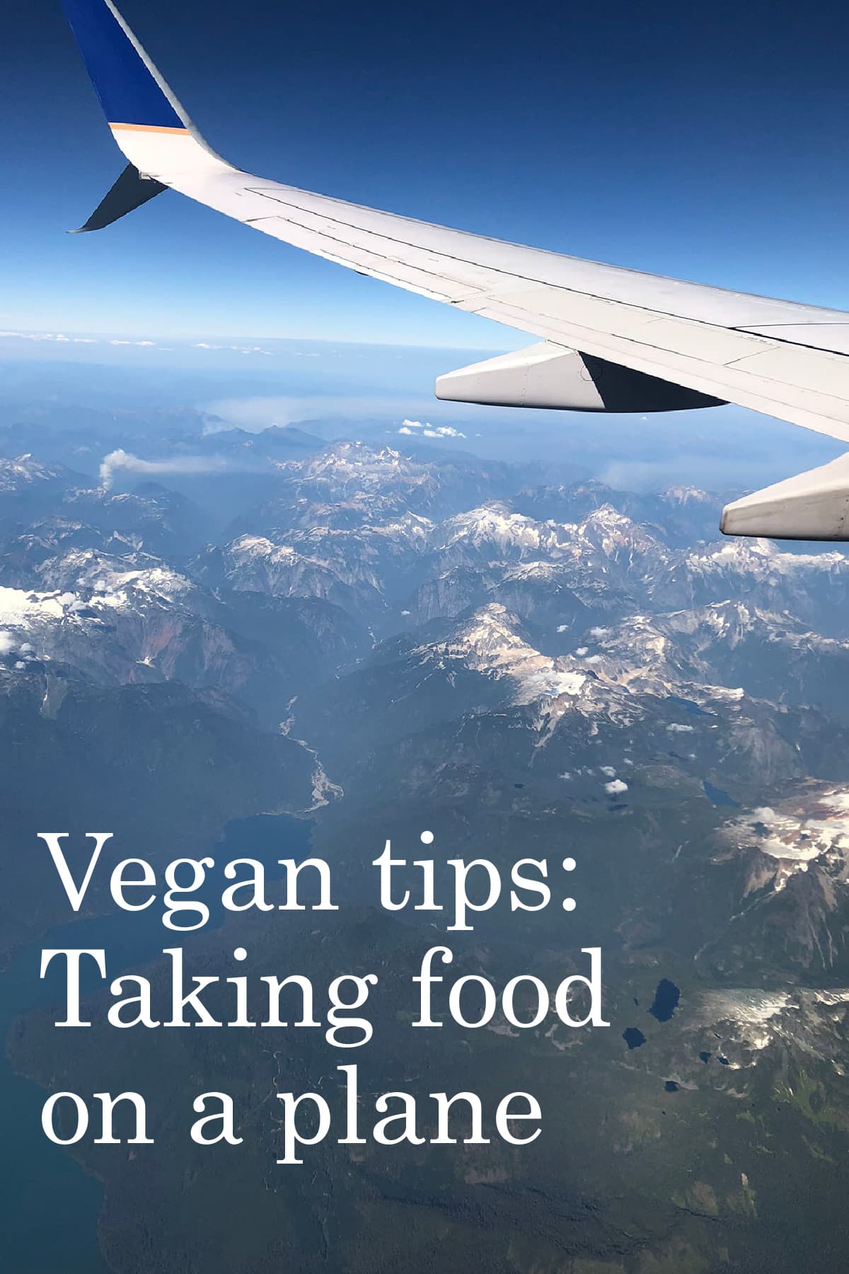Vegan tips for taking food on a plane - Cadry's Kitchen