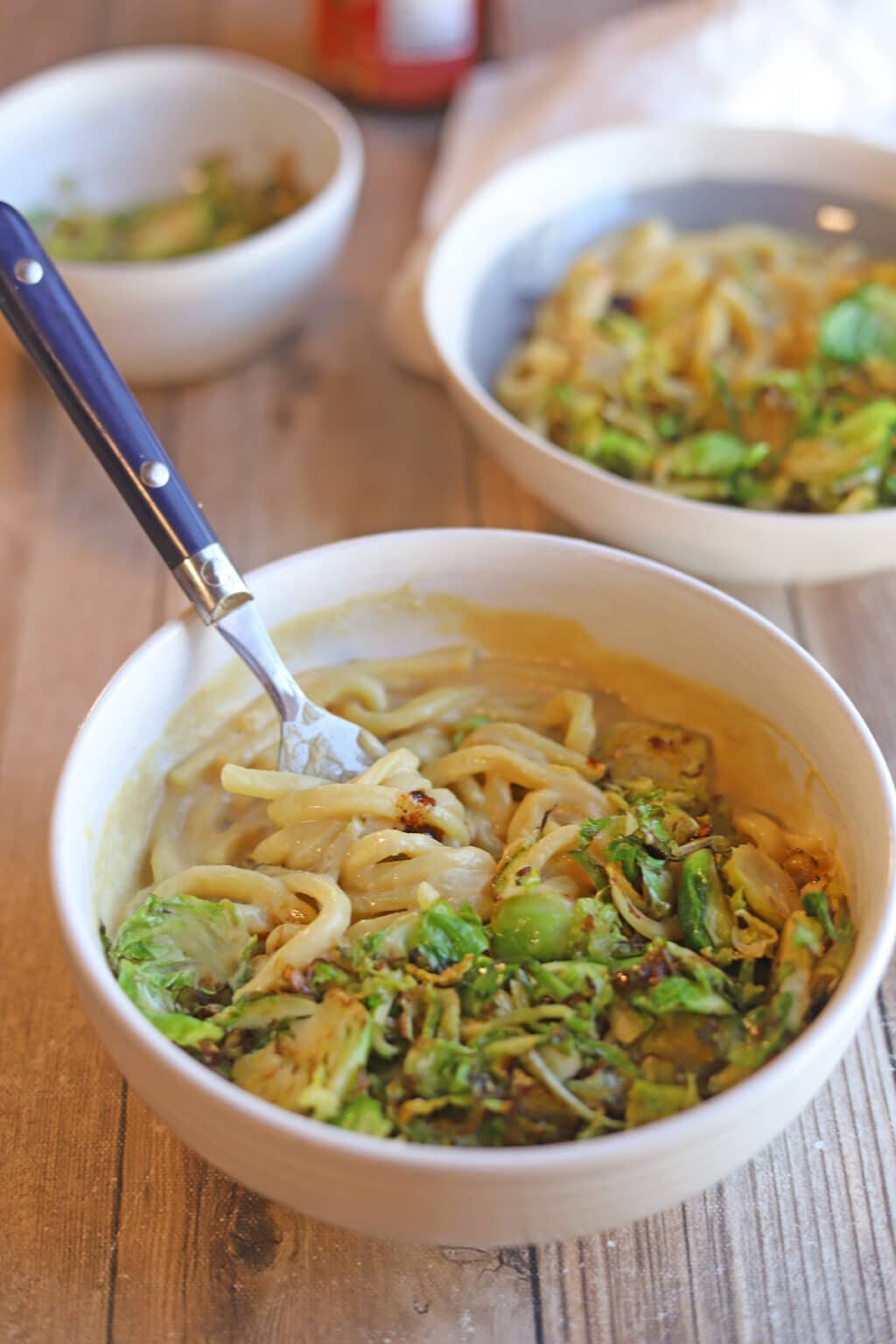 Cheesy vegan udon noodles with Brussels sprouts (25-minute recipe ...